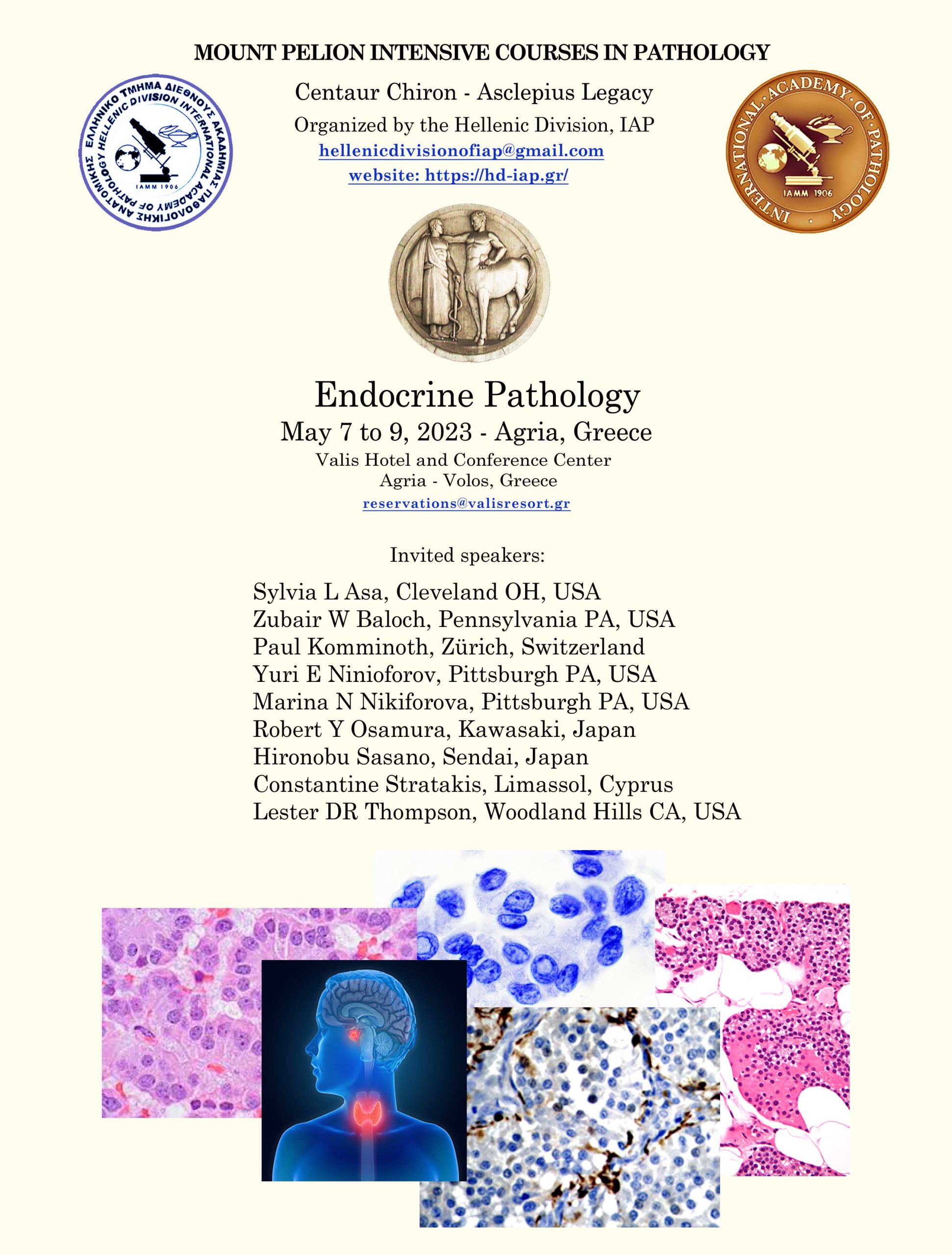 Home - Hellenic Division IAP