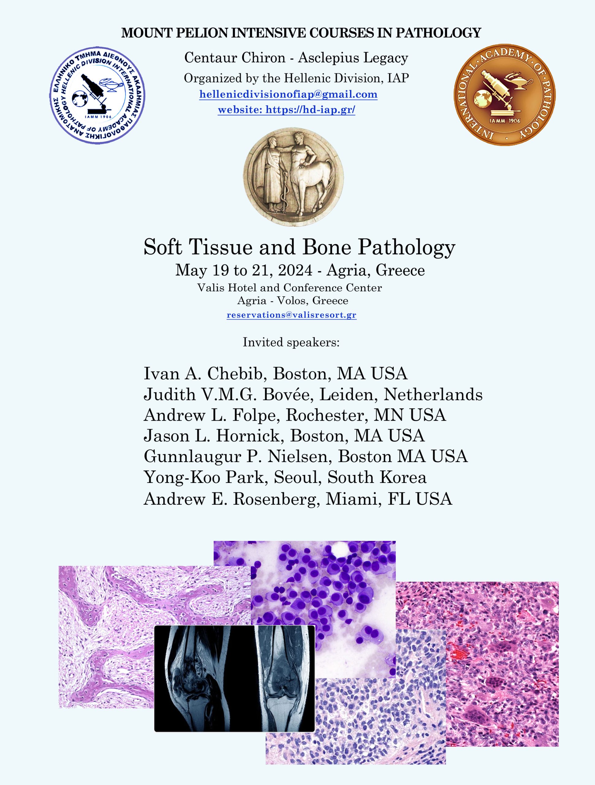 Home - Hellenic Division IAP